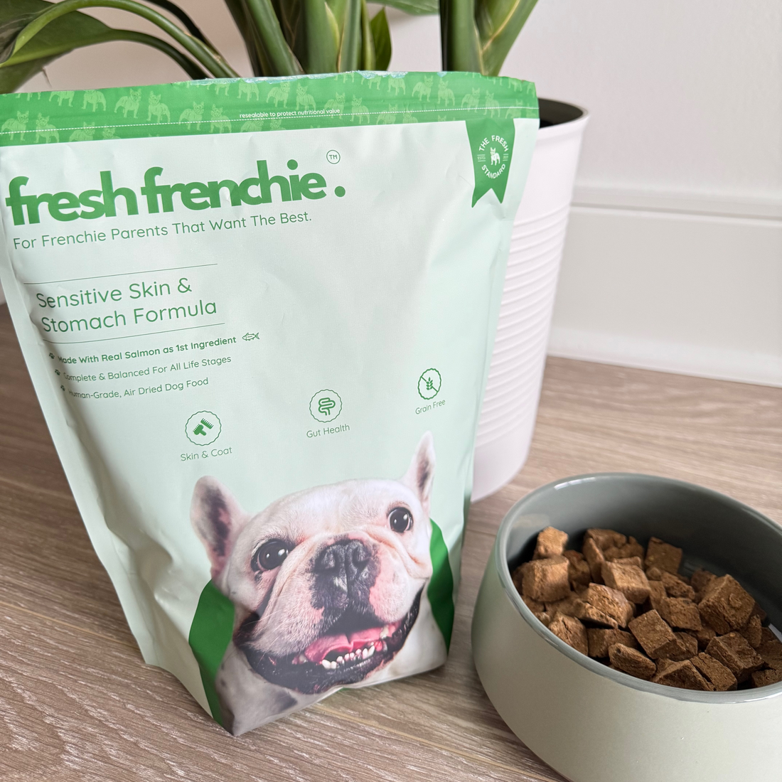 Fresh Frenchie